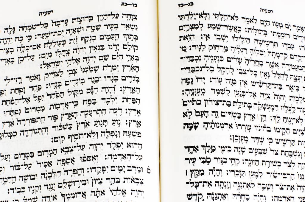 Biblical Hebrew Words for Beginners - Holy Branches